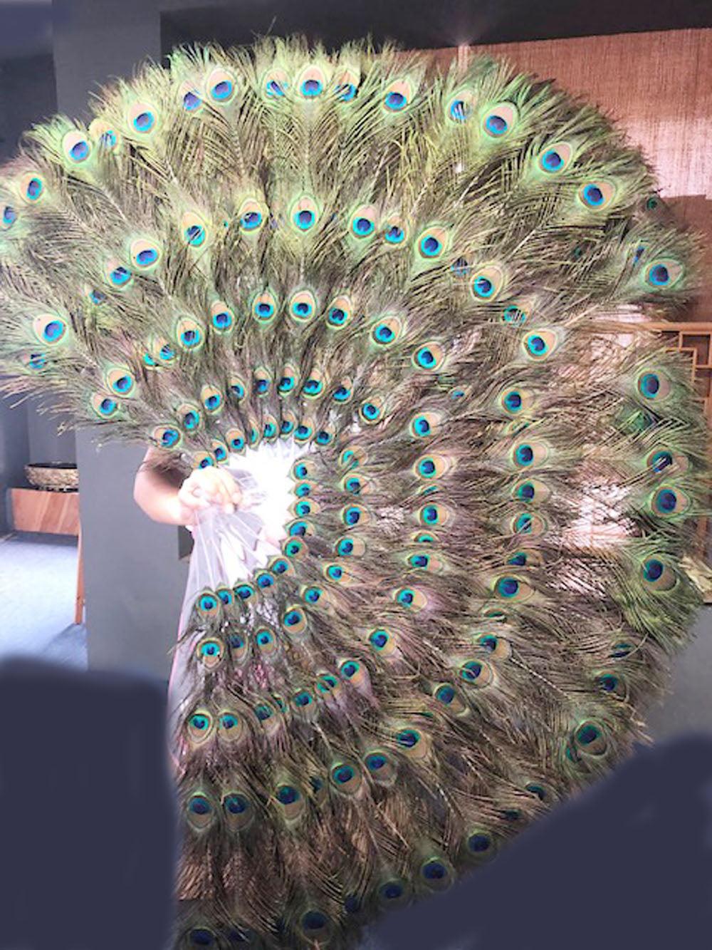 Peacock Feather Fan for sale | Viva Feathers