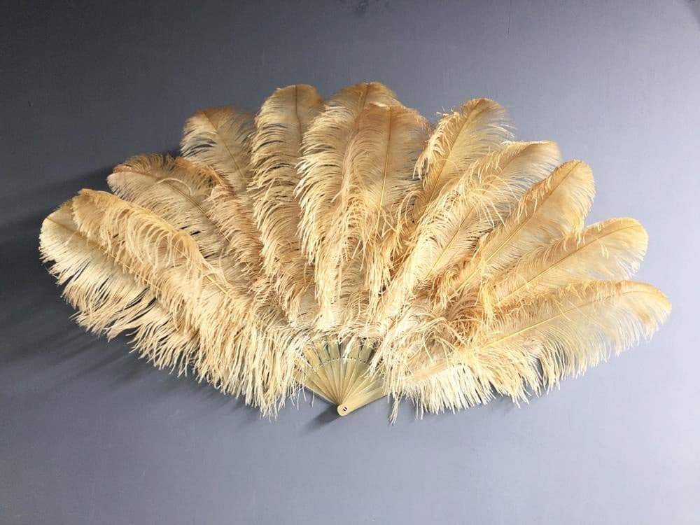 Stunning 2 Layers Feathers Fans for Your Dance Routine Performance